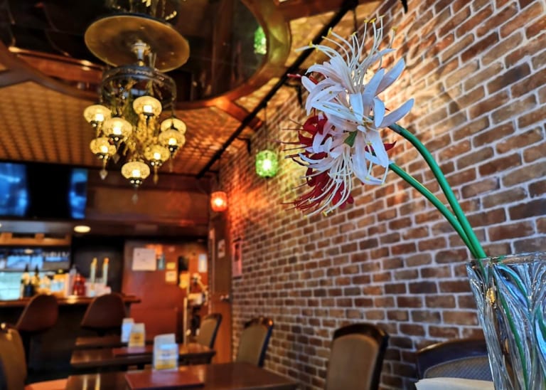 【新宿三丁目カフェ＆バー】異国情緒にまどろむレトロな純喫茶「新宿喫茶りこりす」人気ランチTOP3 | TABIZINE～人生に旅心を～