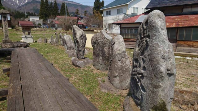 1本の木に会いに行く（40）山形 さくら回廊＜山形県＞ | TABIZINE～人生に旅心を～