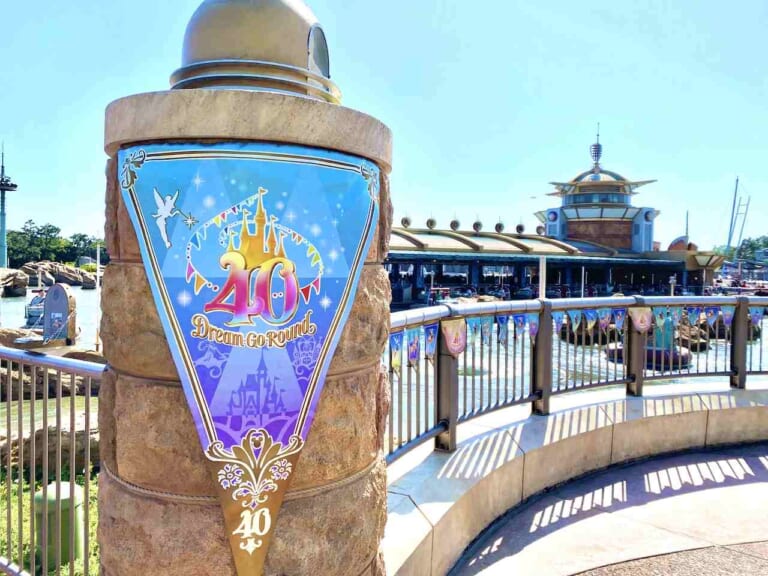 【東京ディズニーランド＆東京ディズニーシー】40周年の映えフォトスポット17選はここ！ | TABIZINE～人生に旅心を～