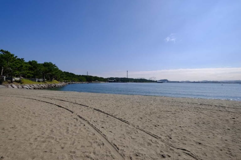 【体験で選ぶ！ベストシーズンの国内旅行先カレンダー】全国の体験・アクティビティスポット55選 | TABIZINE～人生に旅心を～