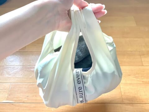 【3COINS×JTB】「折りたたみBAG」はフック付きで便利！お土産入れにも | TABIZINE～人生に旅心を～