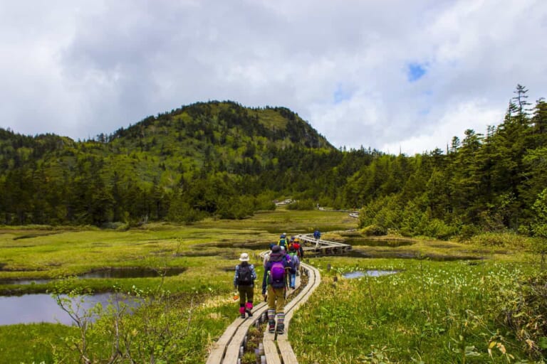 【体験で選ぶ！ベストシーズンの国内旅行先カレンダー】全国の体験・アクティビティスポット55選 | TABIZINE～人生に旅心を～