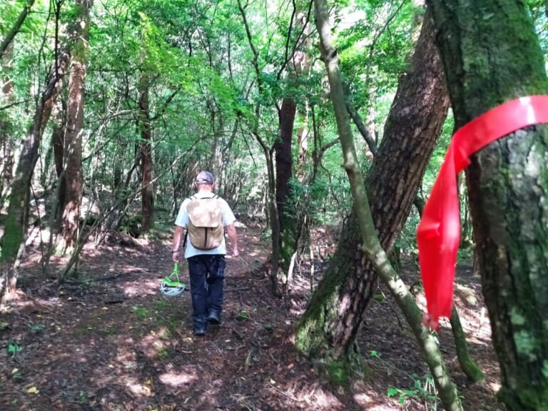【日本三奇祭】500を超える松明で街が炎に包まれる「吉田の火祭り」に行ってみた | TABIZINE～人生に旅心を～