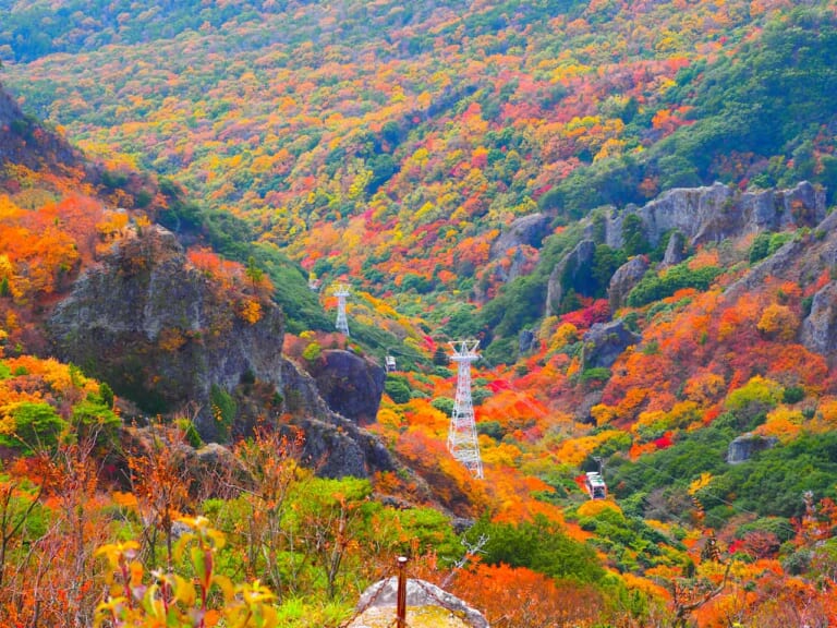 【日本三大ランキング】がっかり名所から和牛・秘湯・神社・悪女・珍味まで38選 | TABIZINE～人生に旅心を～