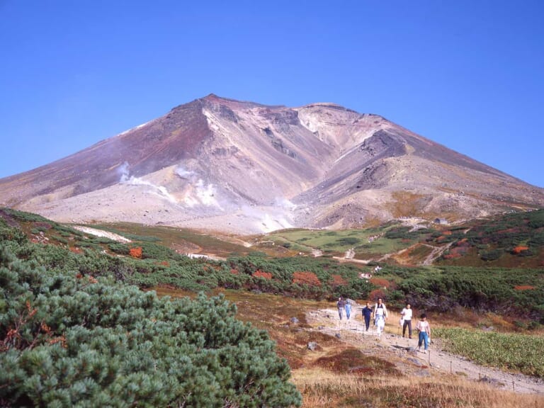 【体験で選ぶ！ベストシーズンの国内旅行先カレンダー】全国の体験・アクティビティスポット55選 | TABIZINE～人生に旅心を～