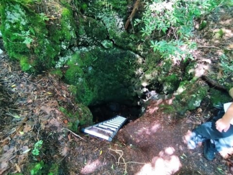 【日本三奇祭】500を超える松明で街が炎に包まれる「吉田の火祭り」に行ってみた | TABIZINE～人生に旅心を～