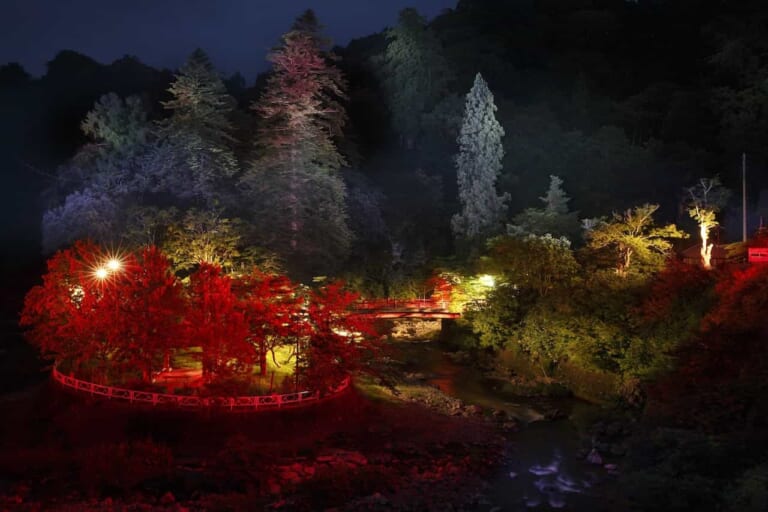 【今週の紅葉まつりイベント5選】中野もみじ山・小諸城址・御岳山｜10月18日〜24日 | TABIZINE～人生に旅心を～