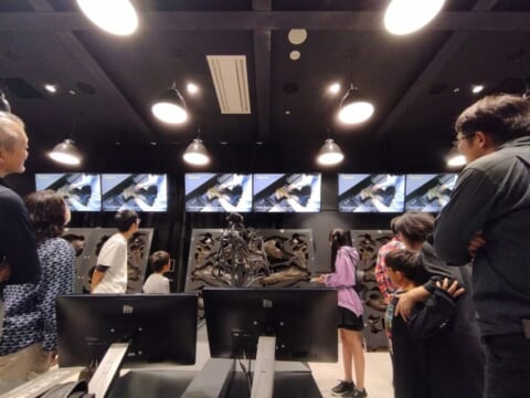 【福井県立恐竜博物館2023年リニューアル後の徹底ルポ】事前予約は必須！シアターから50体の全身骨格まで見どころはここだ！ | TABIZINE～人生に旅心を～