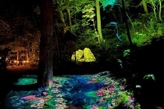 【北海道・定山渓ネイチャールミナリエ今年も開催！】美麗ライトアップ×期間限定スイーツを楽しめる宿泊プランが登場｜鹿の湯・花もみじ ...