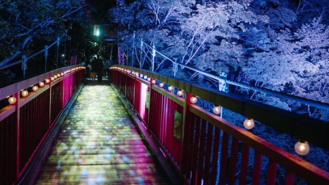 【北海道・定山渓ネイチャールミナリエ今年も開催！】美麗ライトアップ×期間限定スイーツを楽しめる宿泊プランが登場｜鹿の湯・花もみじ ...