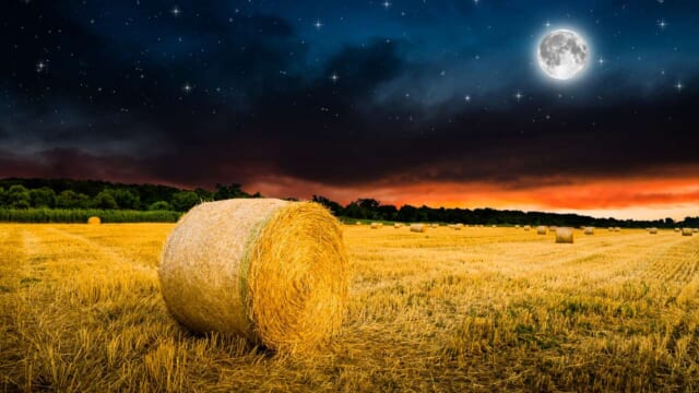 【9月18日はハーベストムーン】初秋の夜空に煌めく月の意味とは？ | TABIZINE～人生に旅心を～