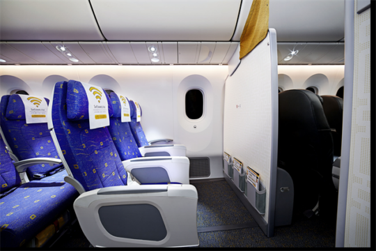 【LCCスクート機内食ルポ】シートピッチも広くて快適！座席・サービスもチェック｜シンガポール航空グループ | TABIZINE～人生に旅心を～