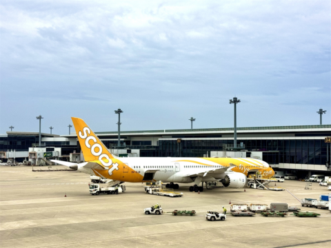 【LCCスクート機内食ルポ】シートピッチも広くて快適！座席・サービスもチェック｜シンガポール航空グループ | TABIZINE～人生に旅心を～