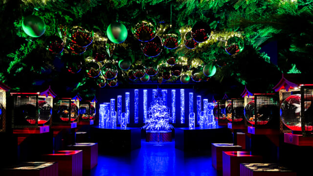 【アートアクアリウム美術館 GINZAのクリスマス！】金魚が揺らめく神秘的な空間を現地ルポでお届け！ | TABIZINE～人生に旅心を～