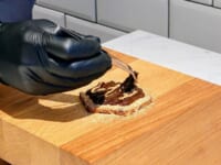 衝撃のビスケット体験！「ル・ビスキュイ・アラン・デュカス 東京」人気TOP5＆全商品ルポ | TABIZINE～人生に旅心を～