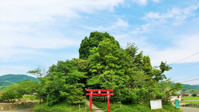 頂上まで30秒！日本一低い山「弁天山」って知ってる？登頂証明書など登る際のポイントや周辺観光スポット | TABIZINE～人生に旅心を～