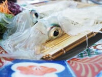 地元民が選んだ！旅行で行きたい47都道府県のおすすめデートスポットまとめ | TABIZINE～人生に旅心を～