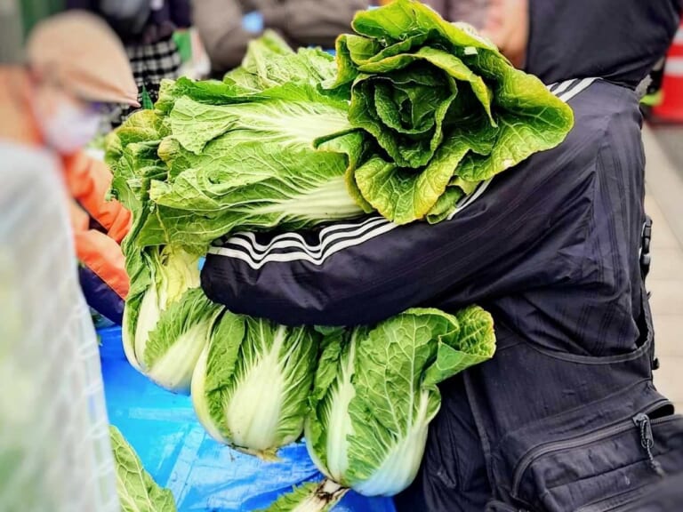 【500円で野菜とお米が詰め放題！】千葉「道の駅木更津うまくたの里」の注目イベント＆おすすめのご当地商品 | TABIZINE～人生に旅心を～