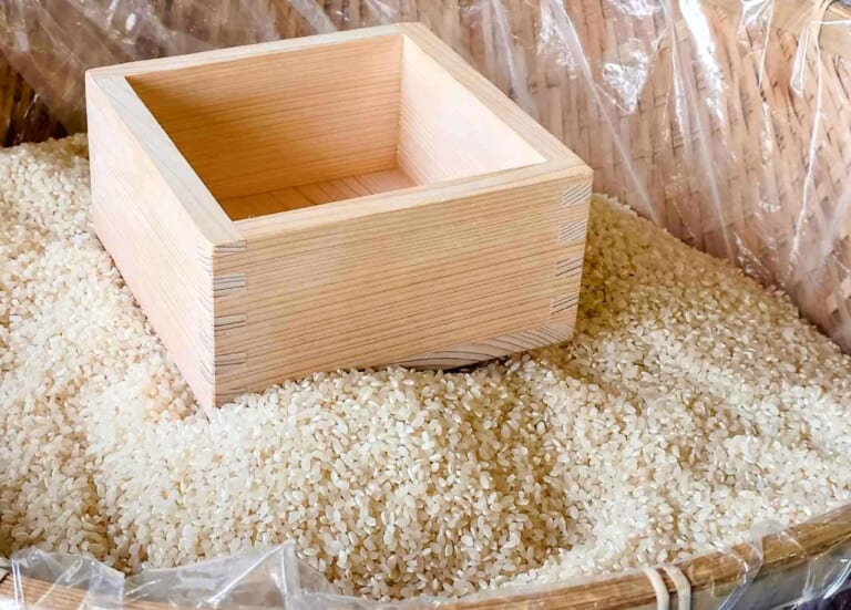 【500円で野菜とお米が詰め放題！】千葉「道の駅木更津うまくたの里」の注目イベント＆おすすめのご当地商品 | TABIZINE～人生に旅心を～