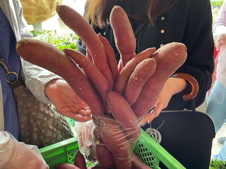 【500円で野菜とお米が詰め放題！】千葉「道の駅木更津うまくたの里」の注目イベント＆おすすめのご当地商品 | TABIZINE～人生に旅心を～