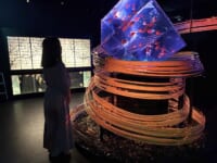 【アートアクアリウム美術館 GINZA】“金魚の参道”が幻想的すぎた！ 2025年夏期間限定新エリアを現地ルポ | TABIZINE～人生に旅心を～