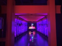 【アートアクアリウム美術館 GINZA】“金魚の参道”が幻想的すぎた！ 2025年夏期間限定新エリアを現地ルポ | TABIZINE～人生に旅心を～