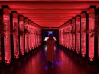 【アートアクアリウム美術館 GINZA】“金魚の参道”が幻想的すぎた！ 2025年夏期間限定新エリアを現地ルポ | TABIZINE～人生に旅心を～